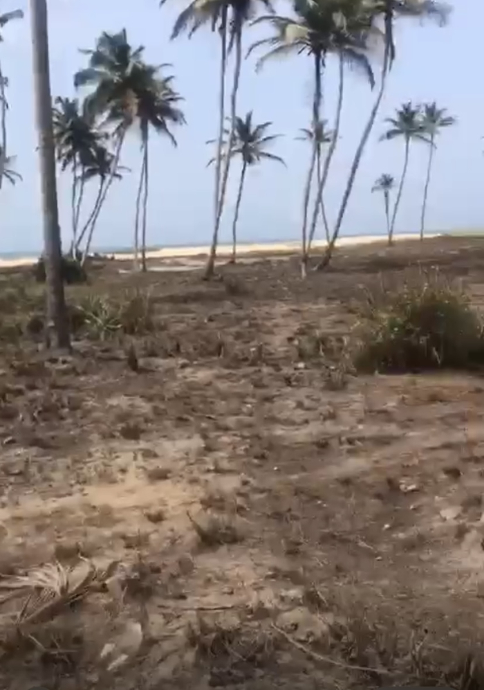 300+ Acres BEACH FRONT LAND AT ADA- Greater Accra Region » Ghana ...